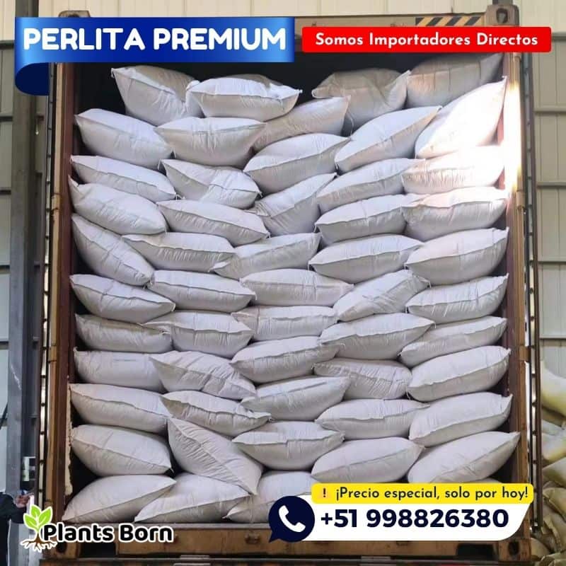 Perlita Expandida Premium - INSUMOS